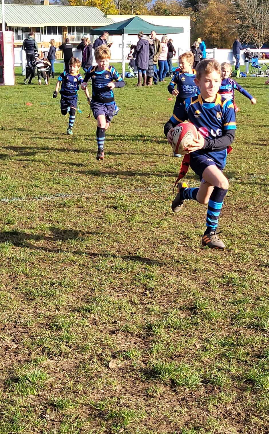 Minis Festival Recap!